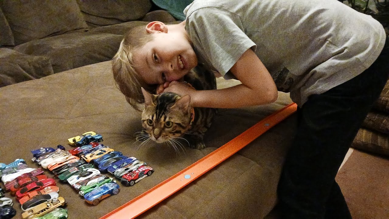 CAT attack and changes the race! Did the Winner actually win? YOU coose ...