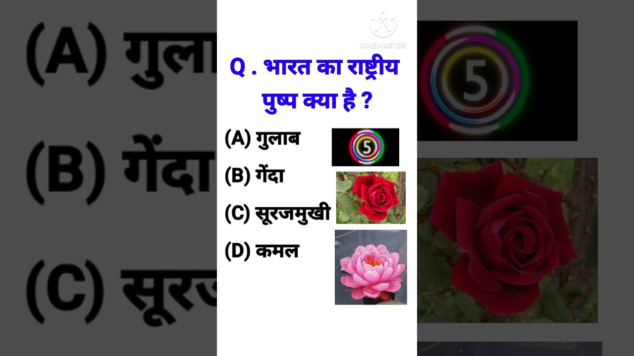 GK QUESTIONS AND ANSWERS - YouTube