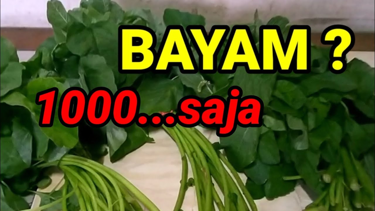 PERBEDAAN BAYAM POTONG DAN BAYAM CABUT - YouTube
