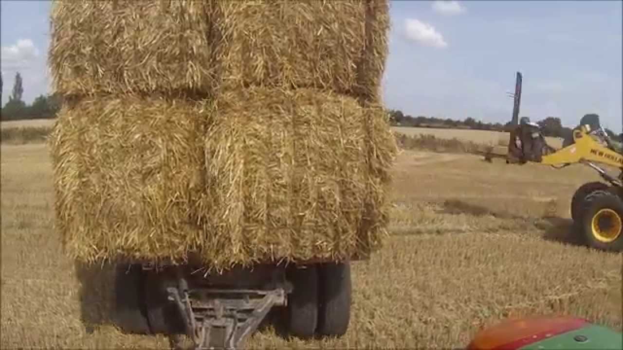 Halm Halm Halm - YouTube