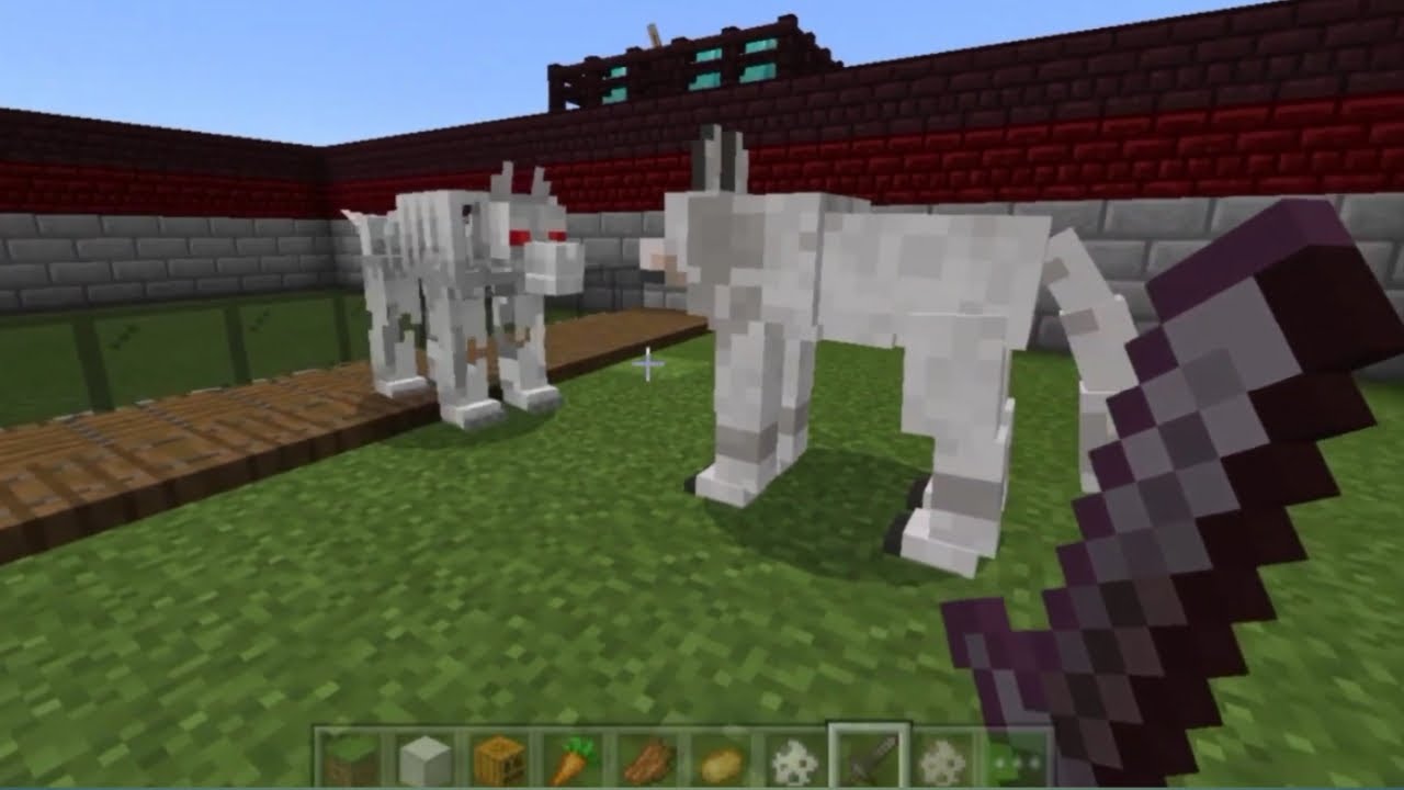 mutant wolf vs mutant skeleton wolf in Minecraft - YouTube