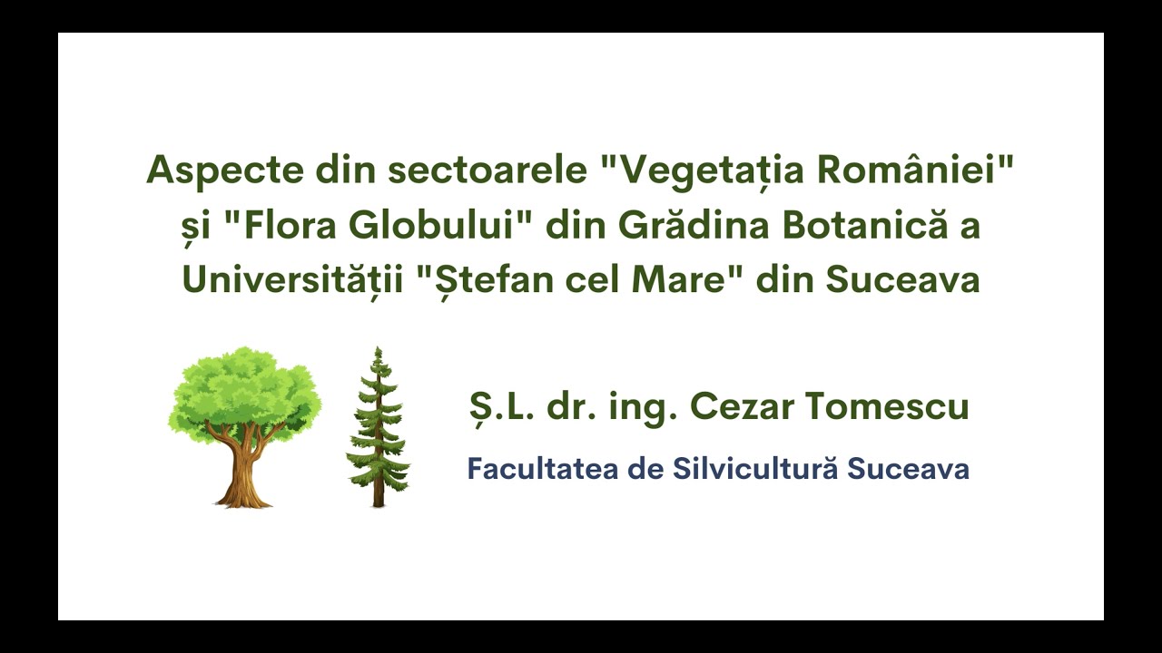 "Vegetația României" și "Flora Globului" din Grădina Botanică a ...