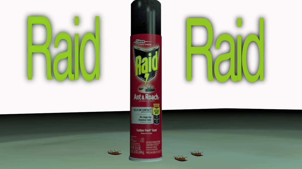 raid commercial 30SEC - YouTube