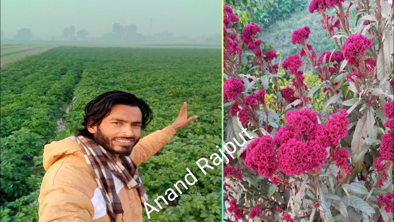 My first vlog | Uttar Pradesh culture | Anand Rajput#vlog #vairalvide# ...