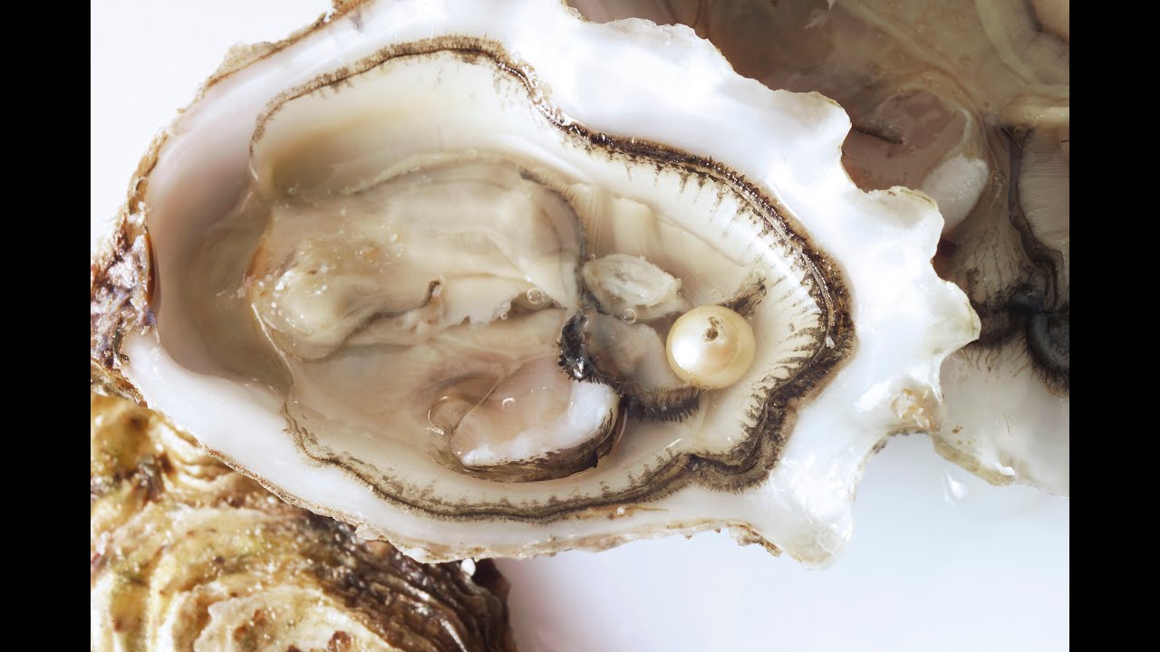 Where Can find THE Pearl ? 5 places Shows the best pearl in the world ...