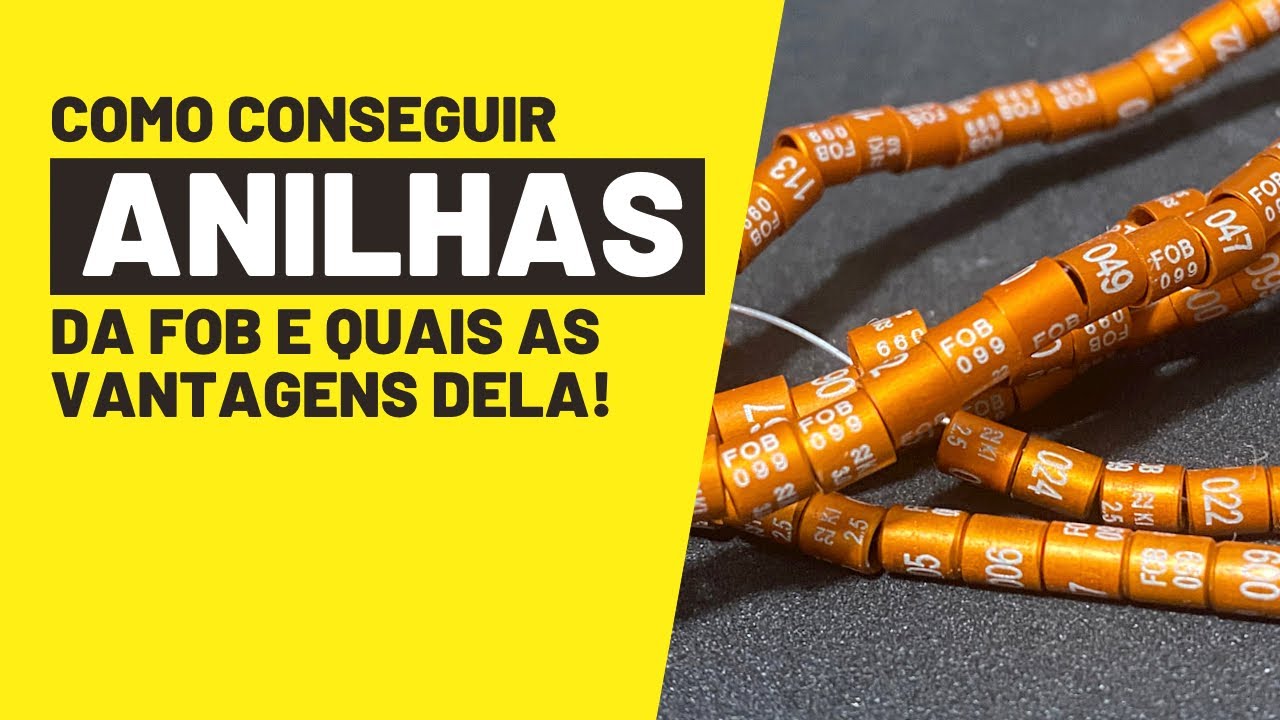 COMO CONSEGUIR ANILHAS DA FOB? PARA QUE ELA SERVE? - YouTube