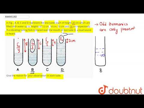 In Fig. , A, B, C and D represent the test tubes each of height 20 cm which are filled with wate...