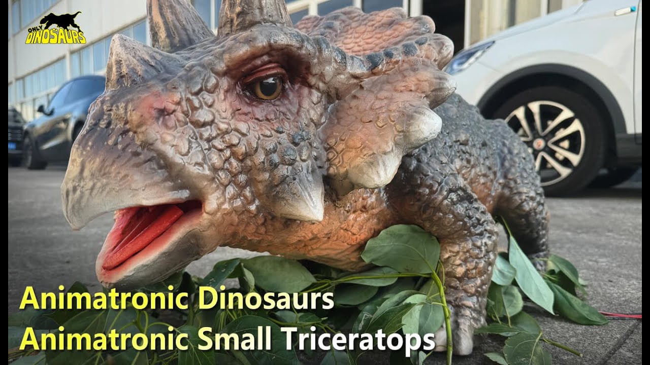 Animatronic Small Triceratops | Animatronic dinosaurs - YouTube