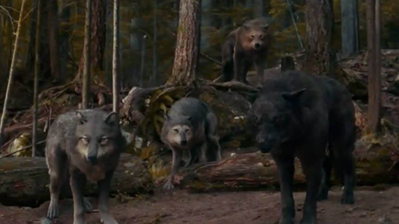 Twilight Eclipse Newborn Vampire Army Featurette - YouTube