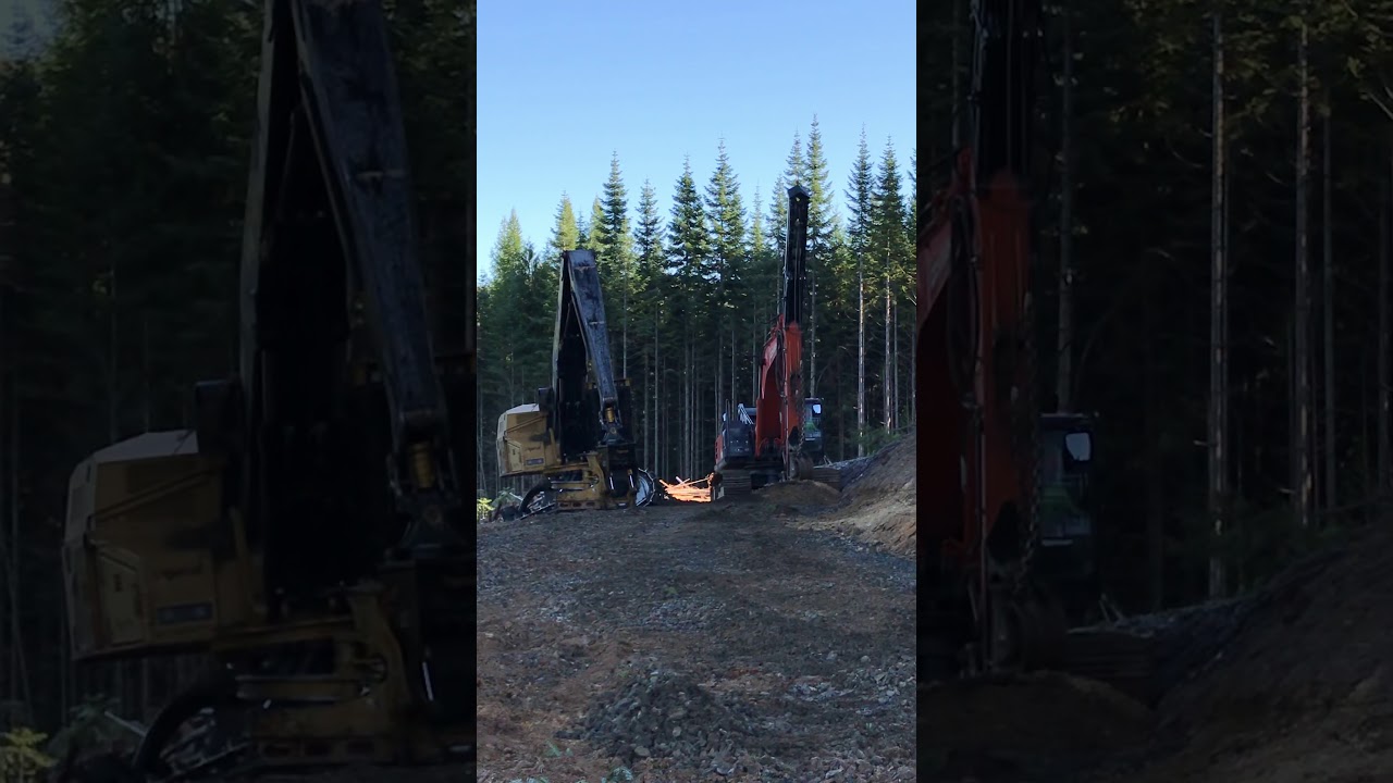 Tether Logging - YouTube