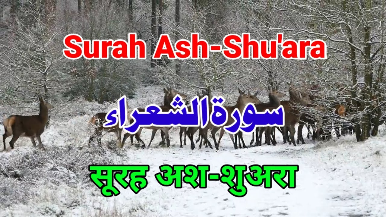 026 Surah Ash Shu ara Full स रह अश श अर سورۃ