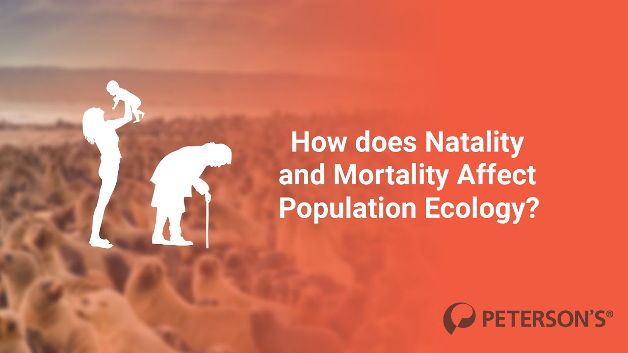 In About a Minute: How does Natality and Mortality Affect Population ...