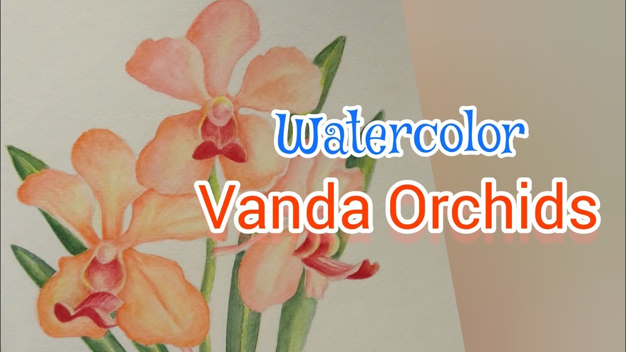 How I Painted Beautiful Vanda Orchids In Watercolor @lolayvebonnart ...