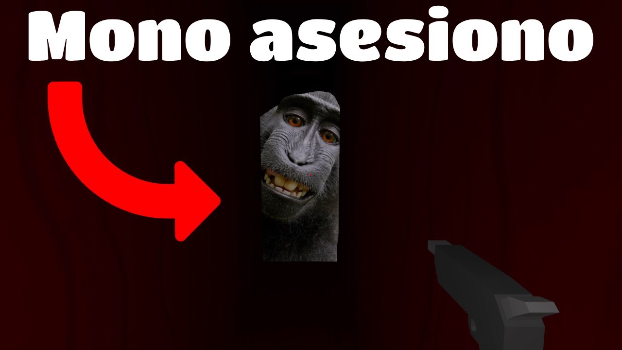 Este mono me quiere matar | The Midnight Monkey - YouTube