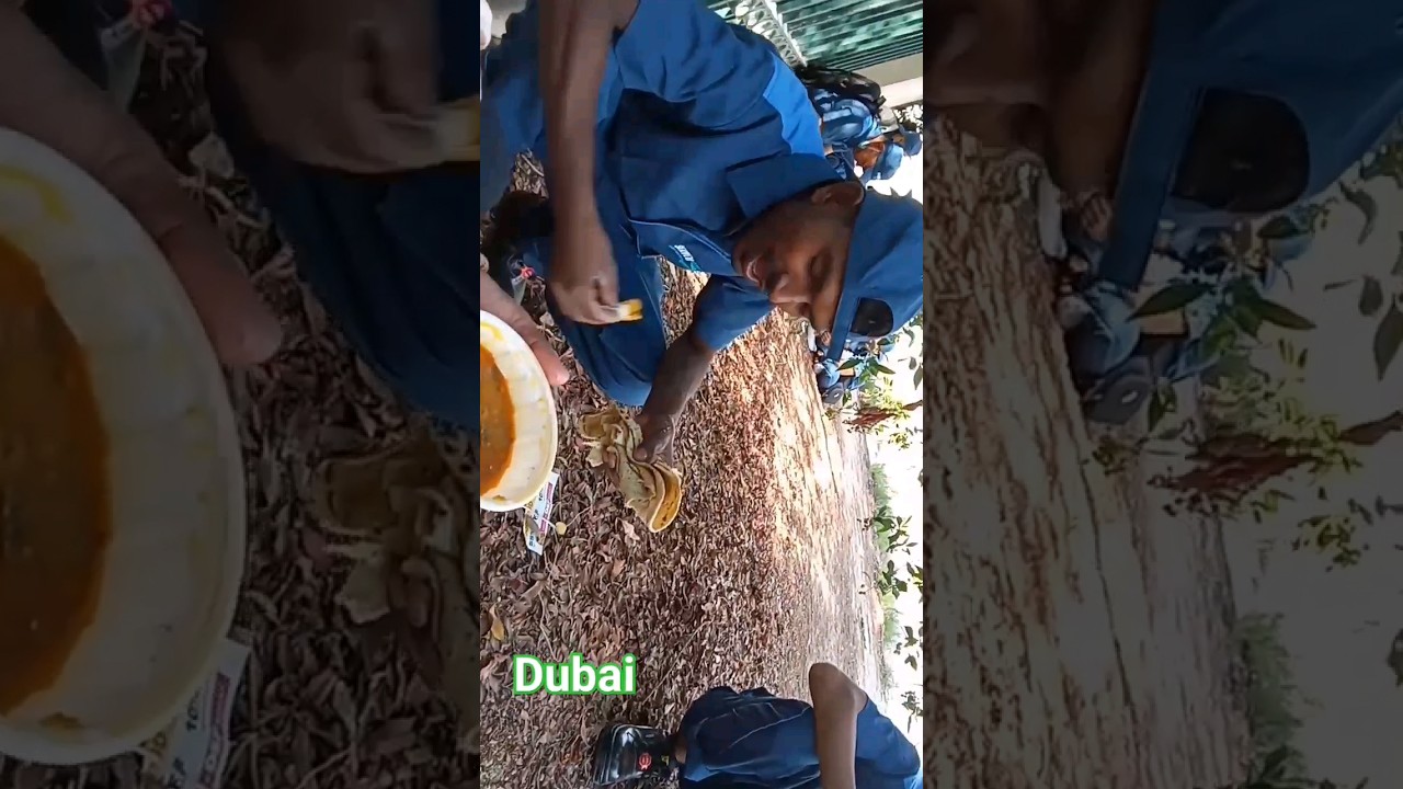 Dubai Serveu company - YouTube