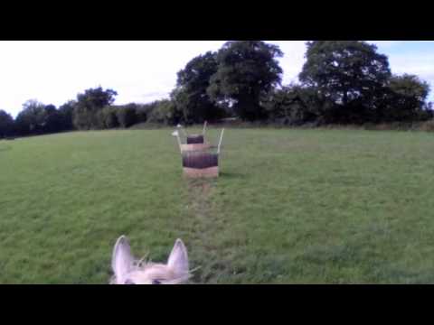 Cross Country Schooling At Boomerang Stables - YouTube