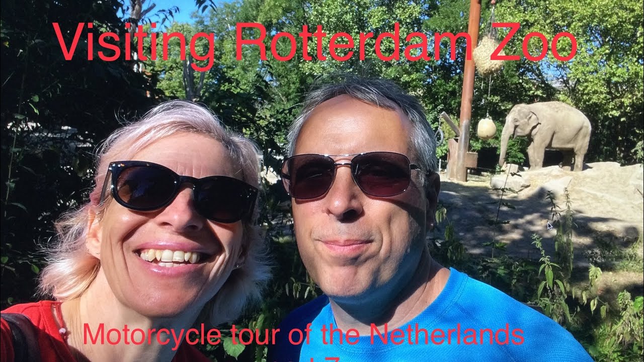 Rotterdam Zoo Motorcycle adventure in the Netherlands part 7 - YouTube