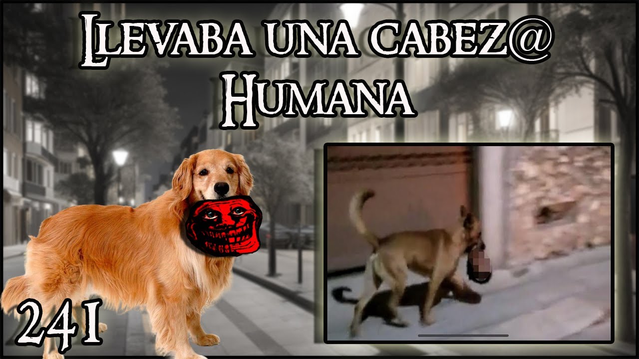 El perro se estaba comiendo la cabez@ y la victima no creeras quien era ...