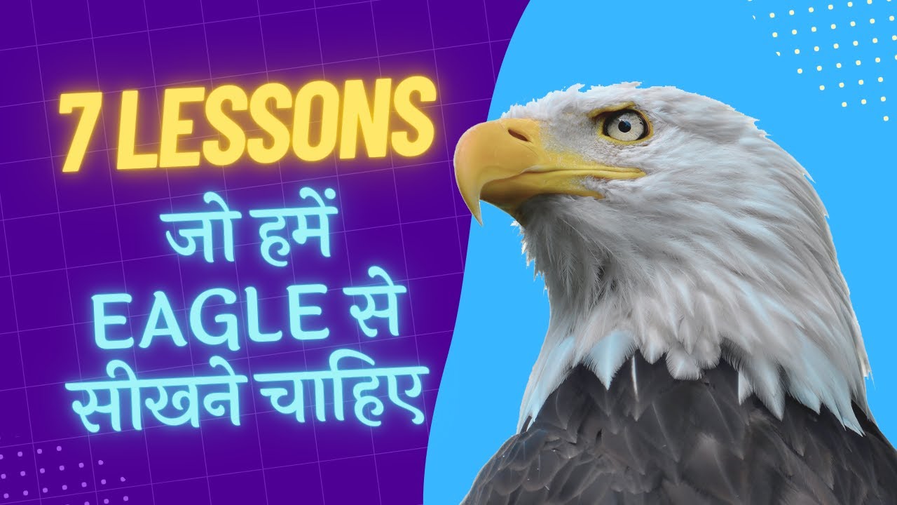 7 Powerful Life Lessons From the Eagle I 7 Lessons जो हमें Eagle से ...