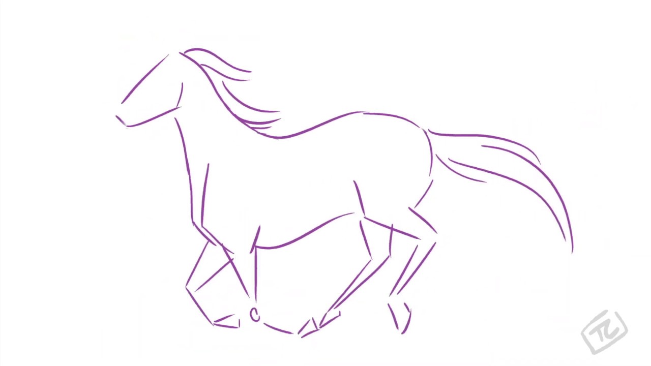 Galloping Horse Animation - YouTube
