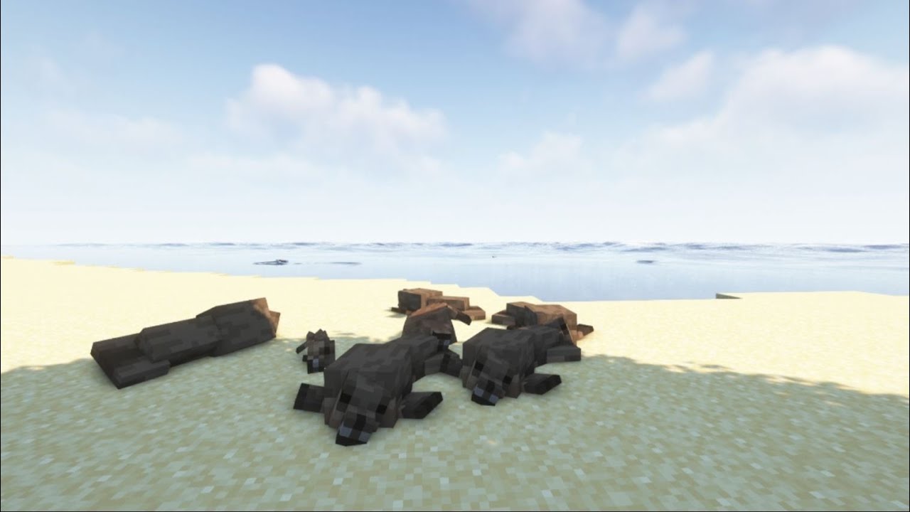 Unedited Footage Of Minecraft Seals | Alex's Mobs - YouTube