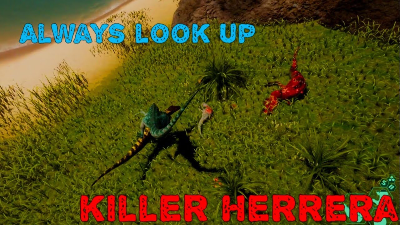 Always look up, killer Herrera | The Isle Evrima | Herrerasaurus ...