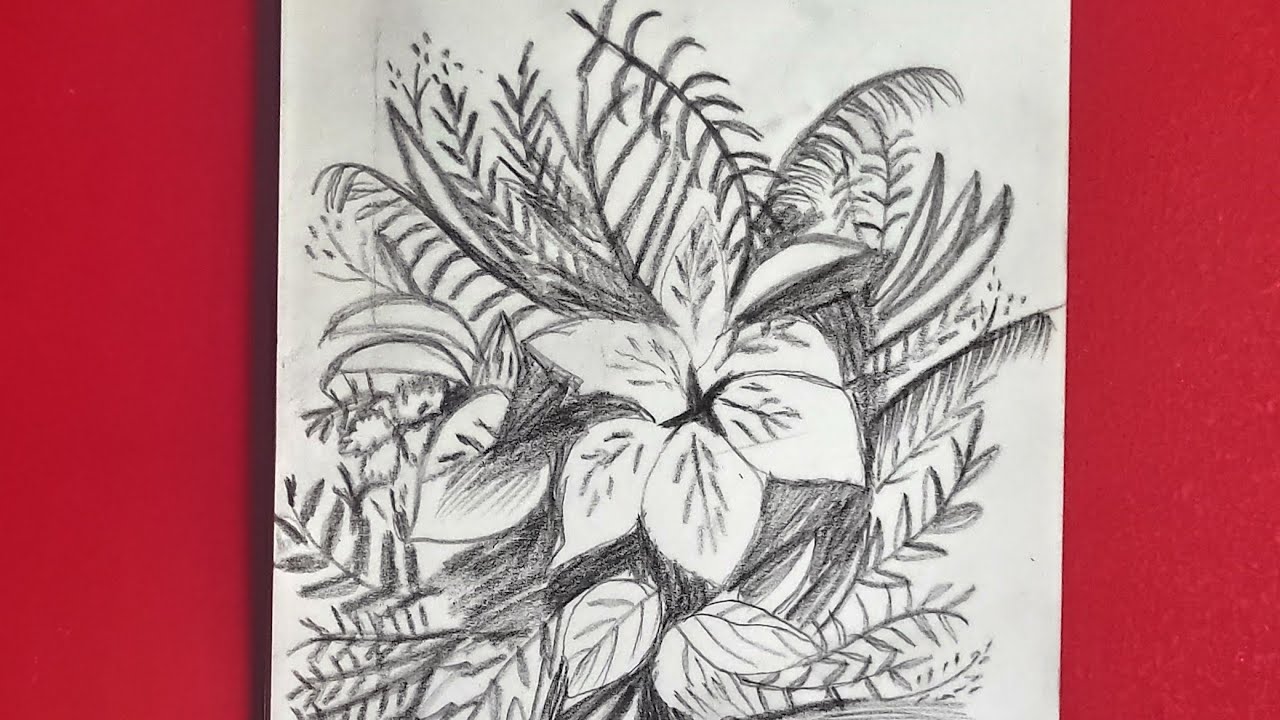 Grass basic drawing by pencil for beginners.. - YouTube
