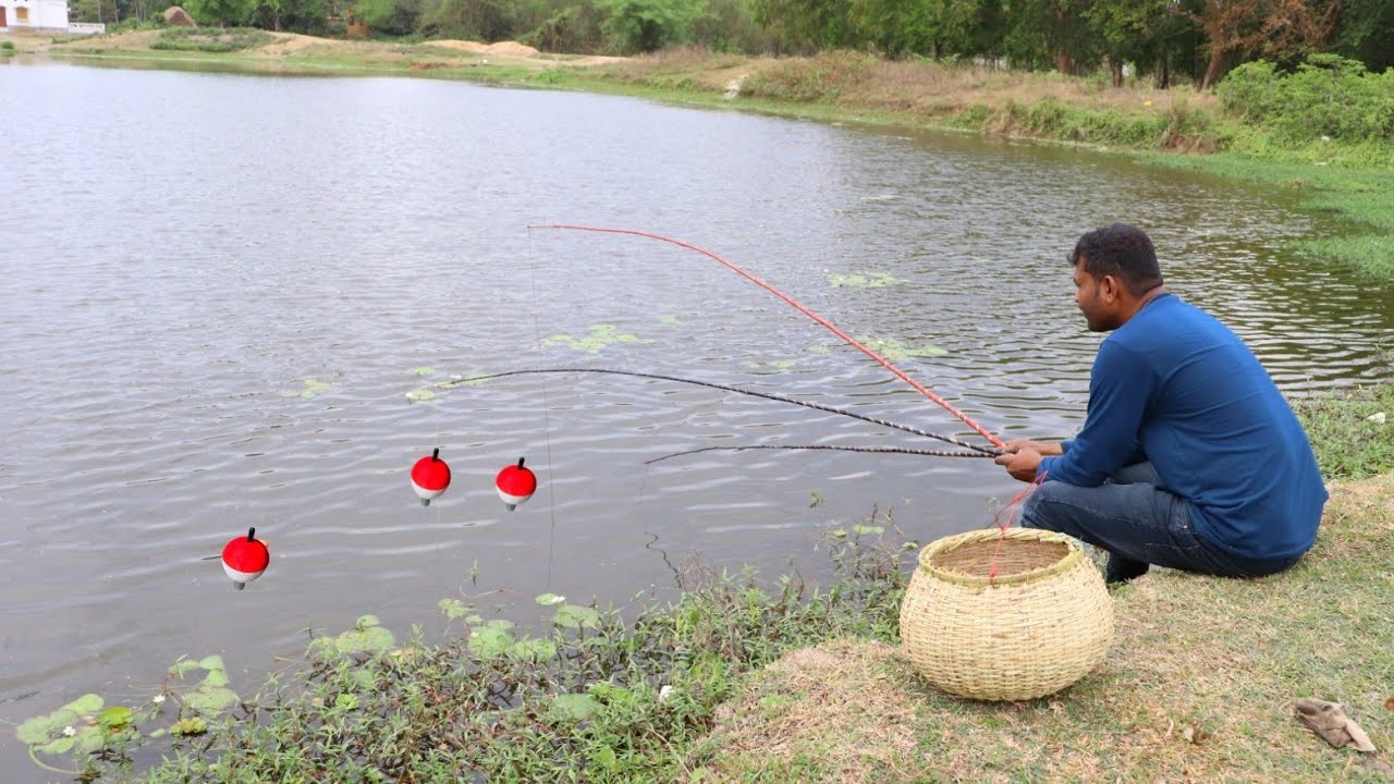 Fishing Video || If you fish with a hook using the right food, you will ...