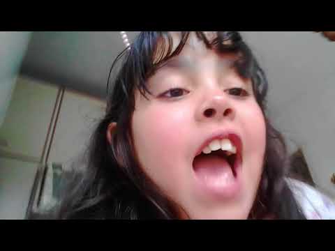 meu 2 dia de gravação olha meu cachorro vai tomar banho no Pet Shop hoje👏👏👏👏💖💜😇