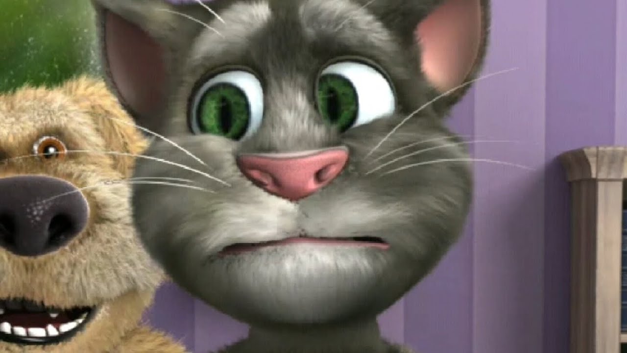 New Cat Game || My Talking Tom || Cat Angry Mood Dog Is Very Happy 😇 ...