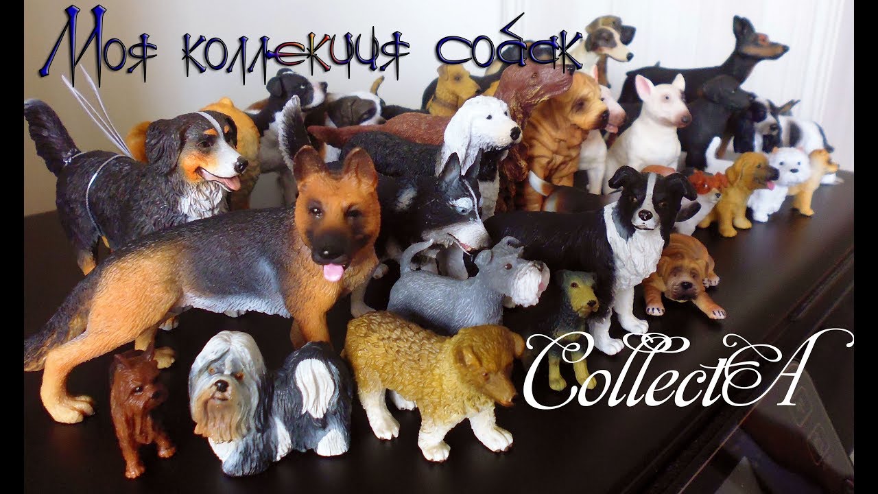Моя коллекция собак от фирмы CollectA/ My collection of dogs by ...