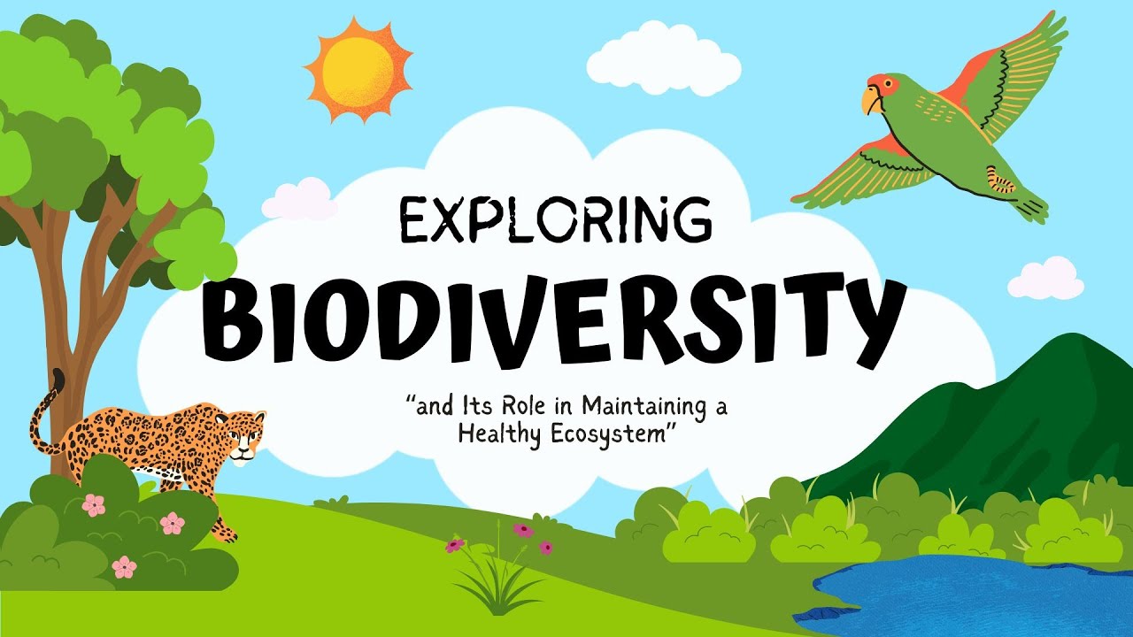 The Secret to a Healthy Ecosystem: Why Biodiversity is Crucial - YouTube