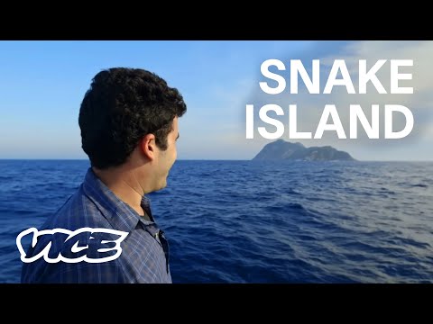 Snake Island (Full Documentary)