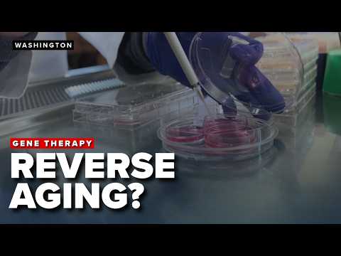 Experimental gene therapy targets aging cells, could open new chapter in aging research, expert says