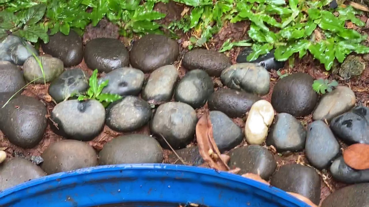 Resapan air hujan dari Drum plastik karya Prajurit TNI - YouTube