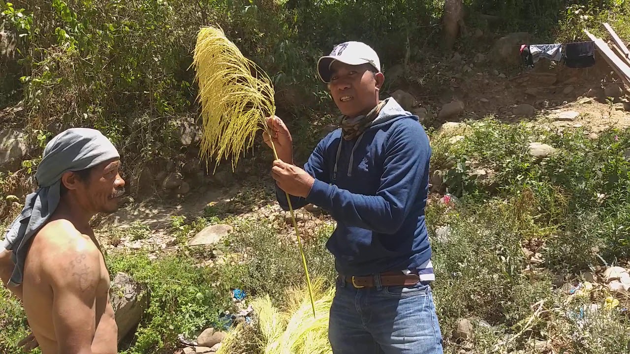 The Making of Walis Tambo/Paypay - YouTube