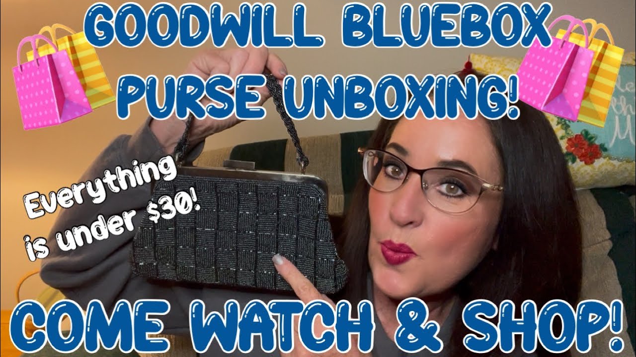 Goodwill Bluebox Purse Unboxing & PURSE SALE! Plus Small Thrift Haul ...