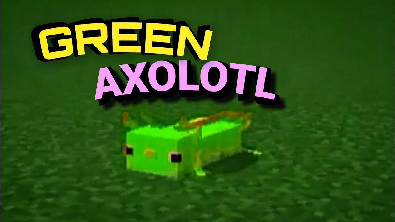 Green Axolotl İn Minecraft 1.18 - YouTube