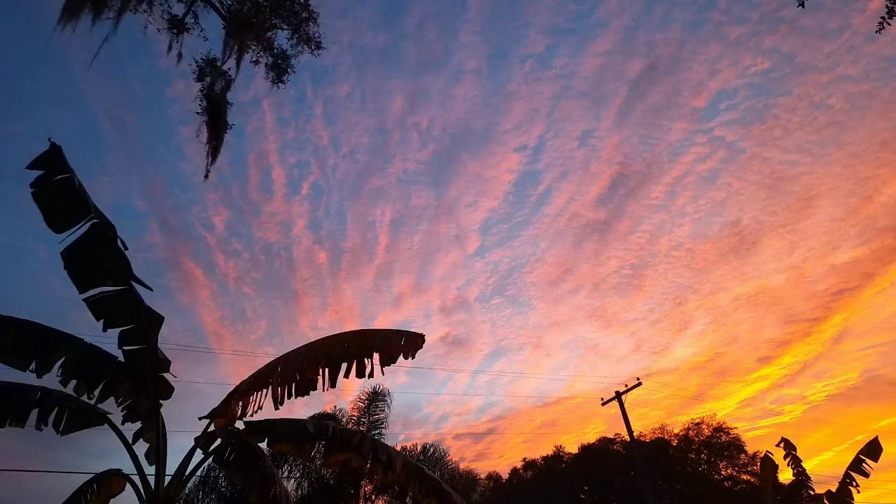 MOST AMAZING THING I HAVE EVER FILMED YouTube most-amazing-thing-i-have-ever-filmed-youtube