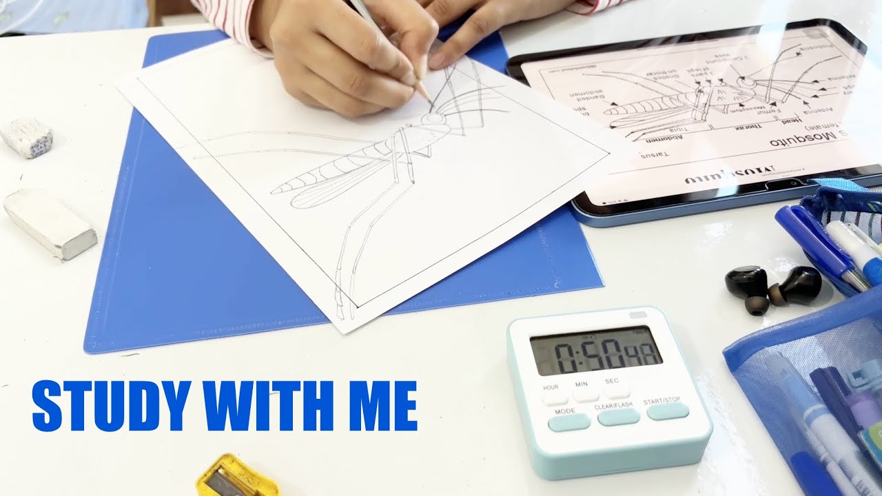 STUDY WITH ME 1.5 hr | Background noise, no music | Pencil ASMR ...