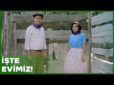 Tarzan Rıfkı Türk Filmi | Rıfkı'nın Yeni Evi!