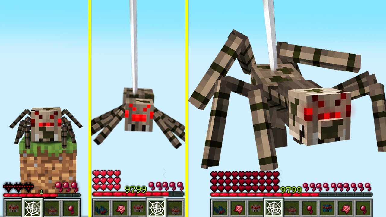 Minecraft How to Play Spider Evolution Life Cycle Battle Animation ...