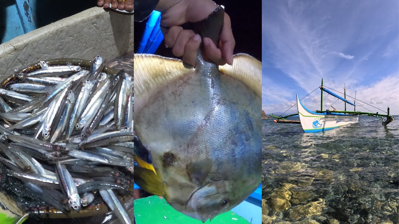 4 DAYS Fishing to EARN Income for Our Families (A REAL Local Fishermen ...