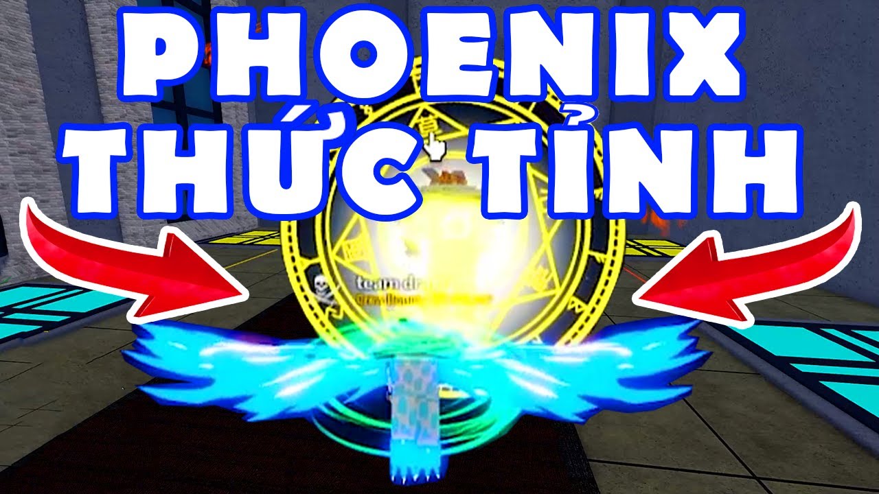 Roblox | CÙNG Mr MẠNH HELP RAID PHOENIX TRONG BLOX FRUIT - Dung Takun ...