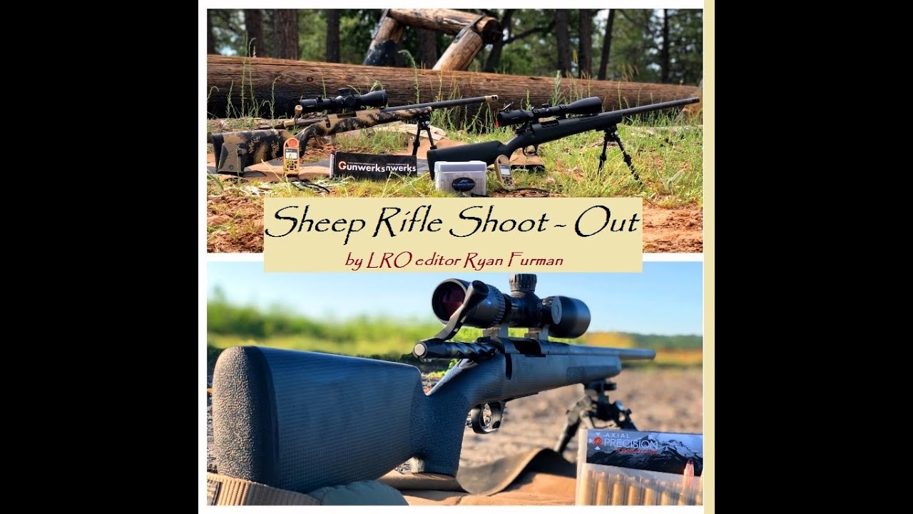 The Sheep Rifle Shoot~Out - YouTube