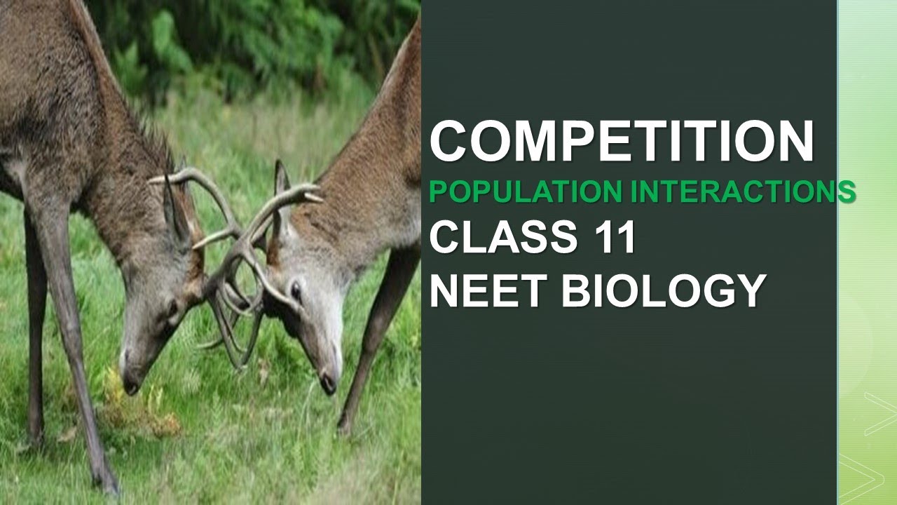 COMPETITION/POPULATION INTERACTIONS/CLASS 11/NEET BIOLOGY - YouTube
