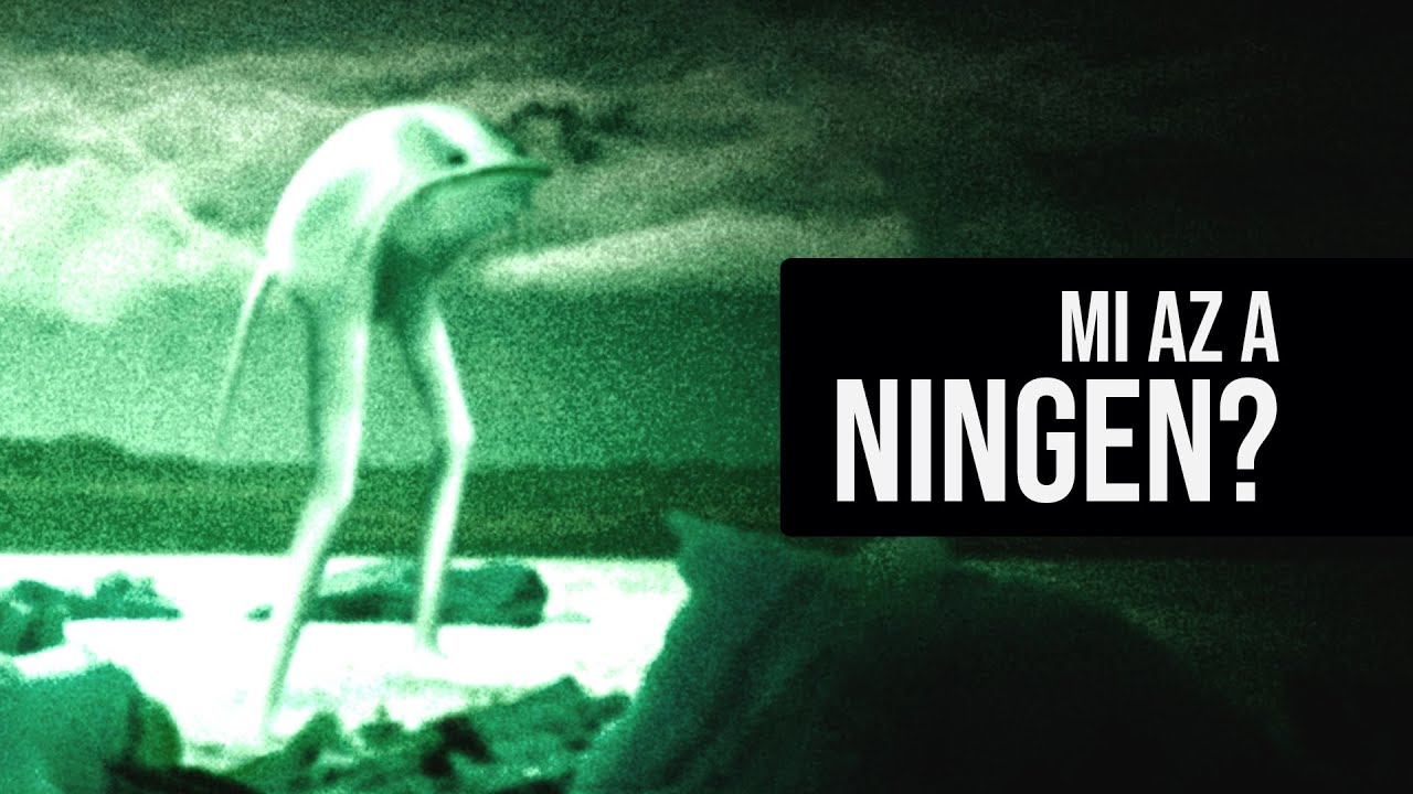 A Ningen - Egy rejtélyes lény - YouTube