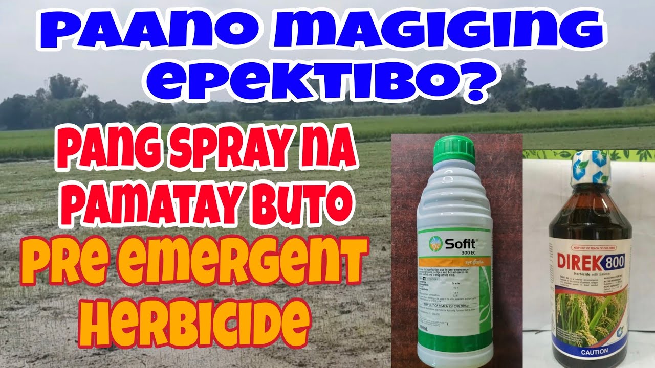MAHUSAY NA PAMATAY DAMO/pre emergent herbicide/para sa Buto/sabog tanim ...