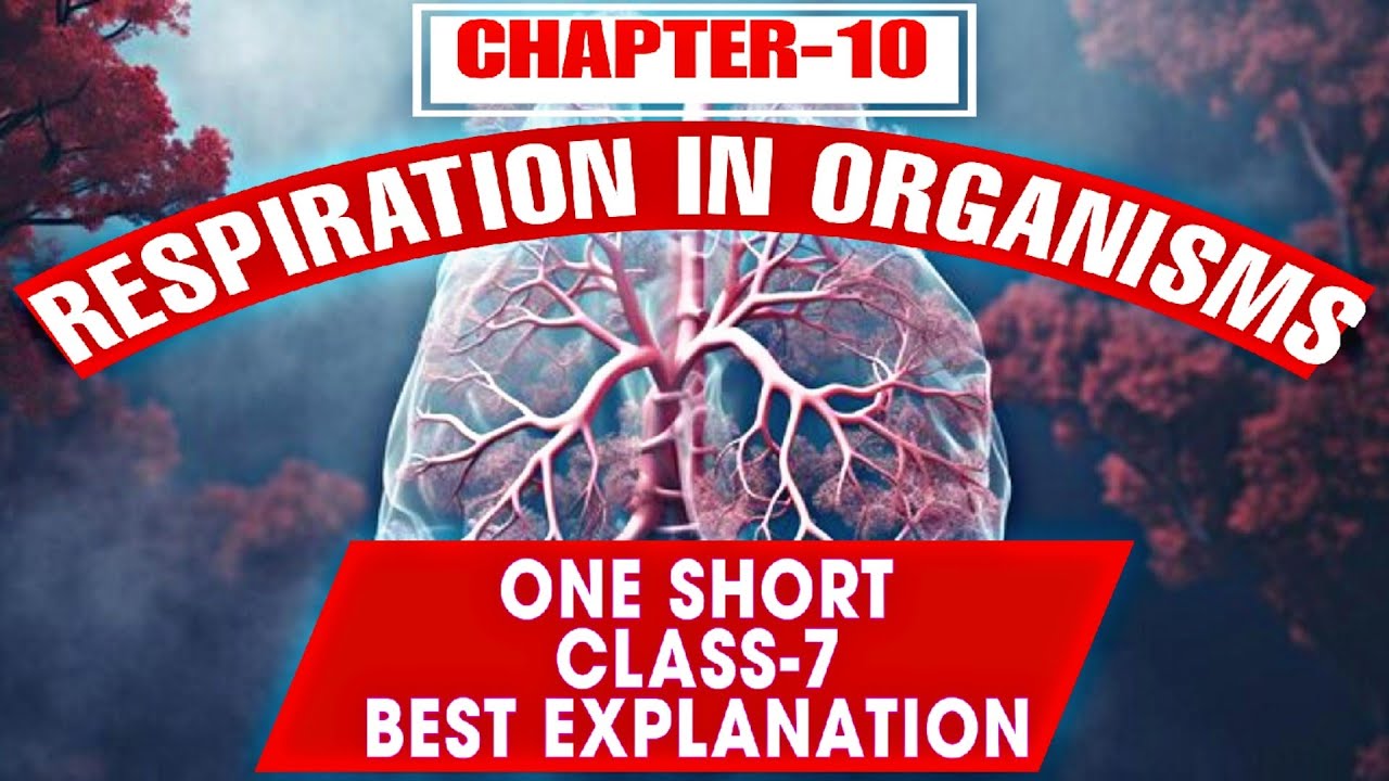 CLASS 7 Chapter 10 Respiration In Organisms Full NCERT Concept With class-7-chapter-10-respiration-in-organisms-full-ncert-concept-with