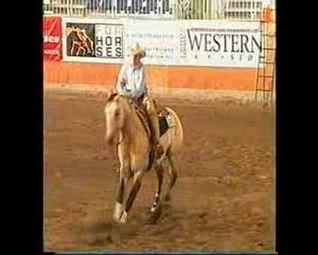 Reining Frozen Sailor Remix www.handtransfer.com - YouTube